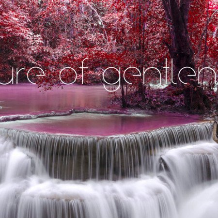 Gentle Teaching Philosophy – Creative Options Regina | COR