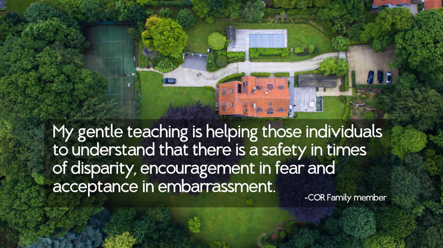 Gentle Teaching is a blessing and reprieve from a life of conditioning ...